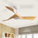 George Oliver Nicola 52'' 3 - Blade Propeller Ceiling Fan with Remote Control & Reviews ...
